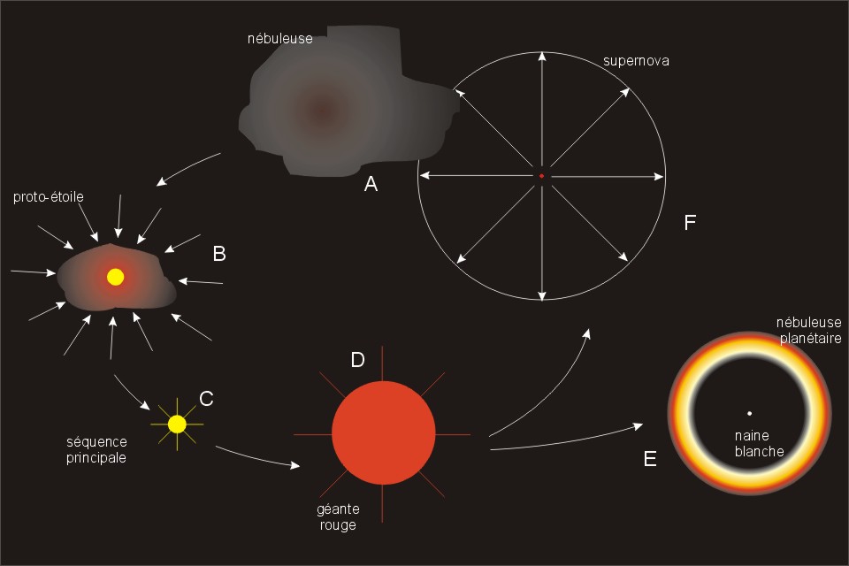Vie et mort des étoiles